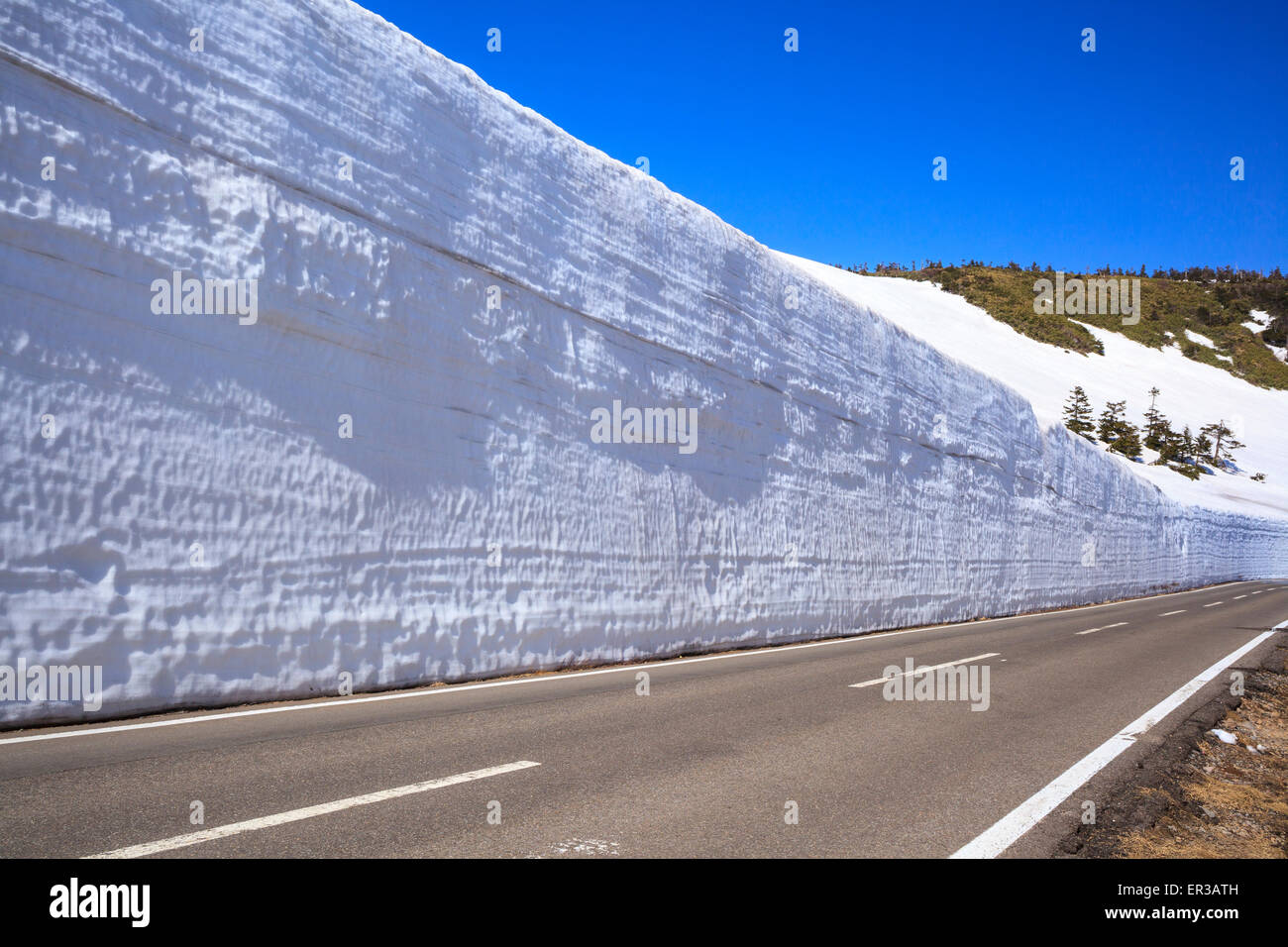 Hachimantai Aspite Line, Corridor of Snow, AkitaIwate, Japan Stock ...