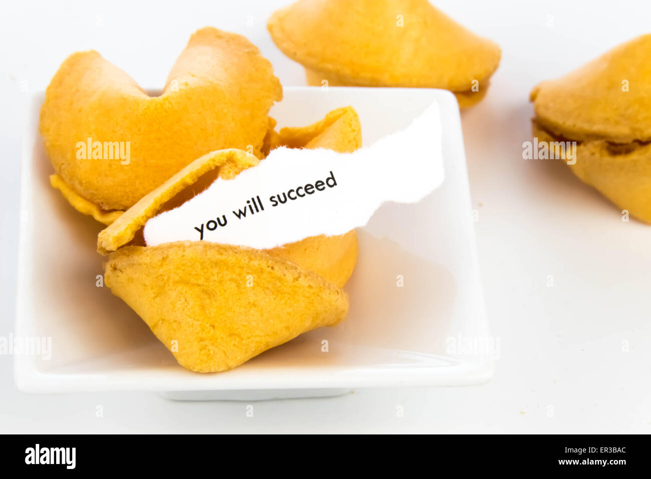 open fortune cookie with strip of white paper - YOU WILL SUCCEED Stock ...