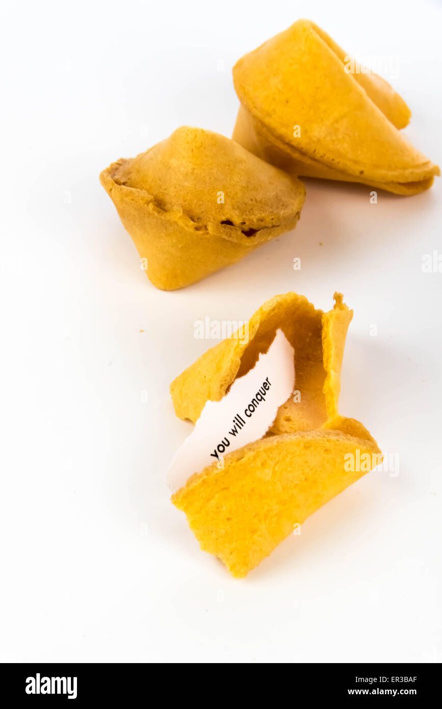 open fortune cookie with strip of white paper - YOU WILL SUCCEED Stock ...