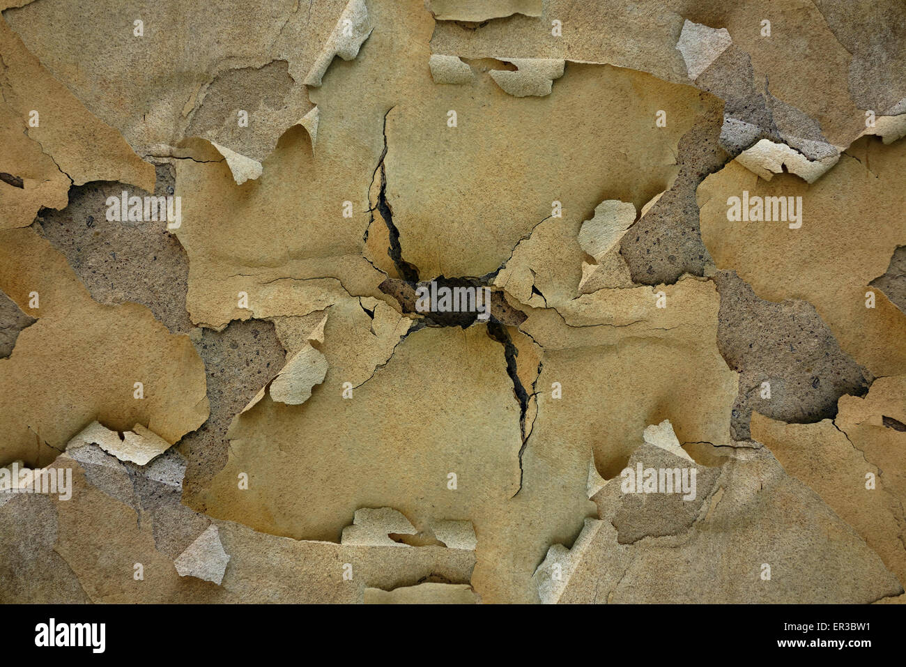 plaster bulges - blistering Stock Photo - Alamy