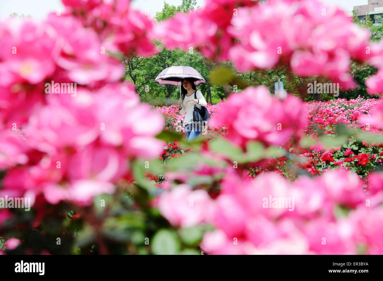 Qingdao university sea hi-res stock photography and images - Alamy