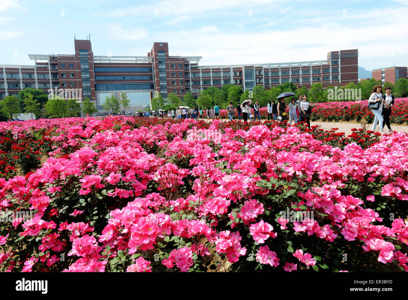 Qingdao university sea hi-res stock photography and images - Alamy