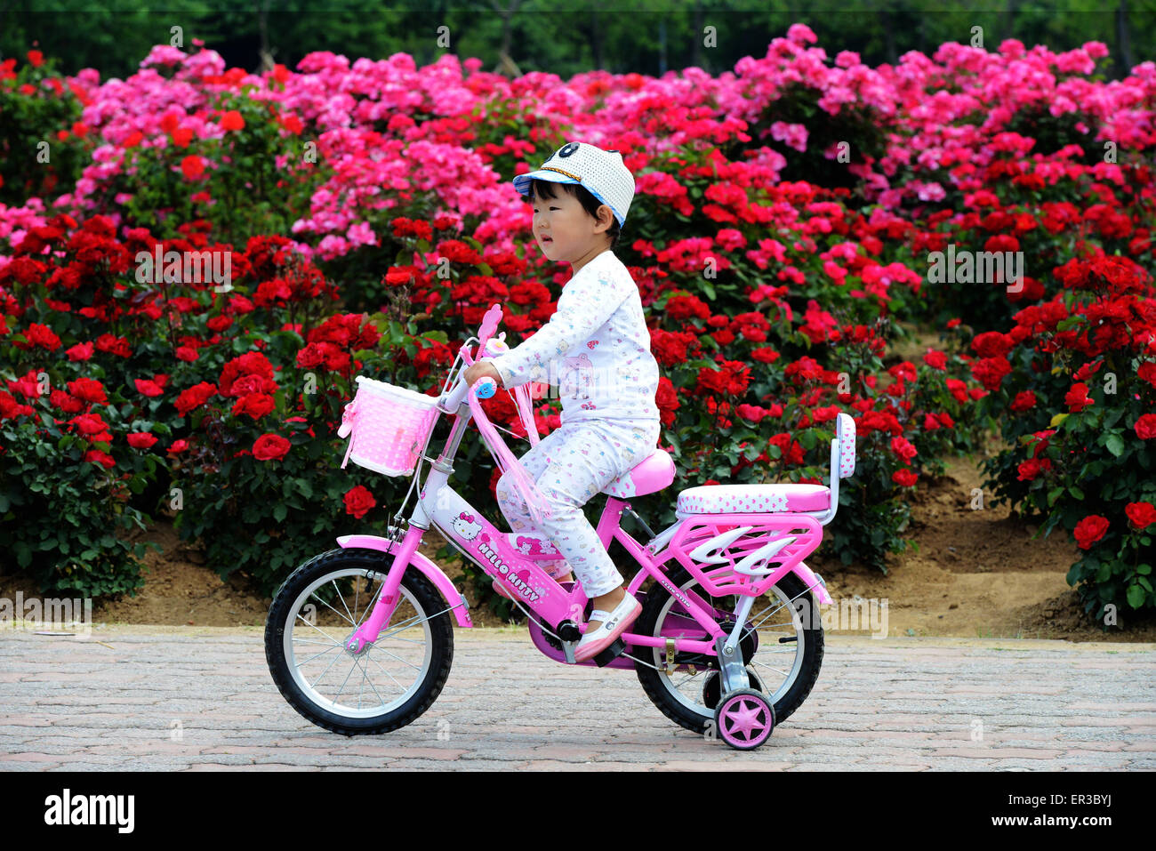 Qingdao university sea hi-res stock photography and images - Alamy