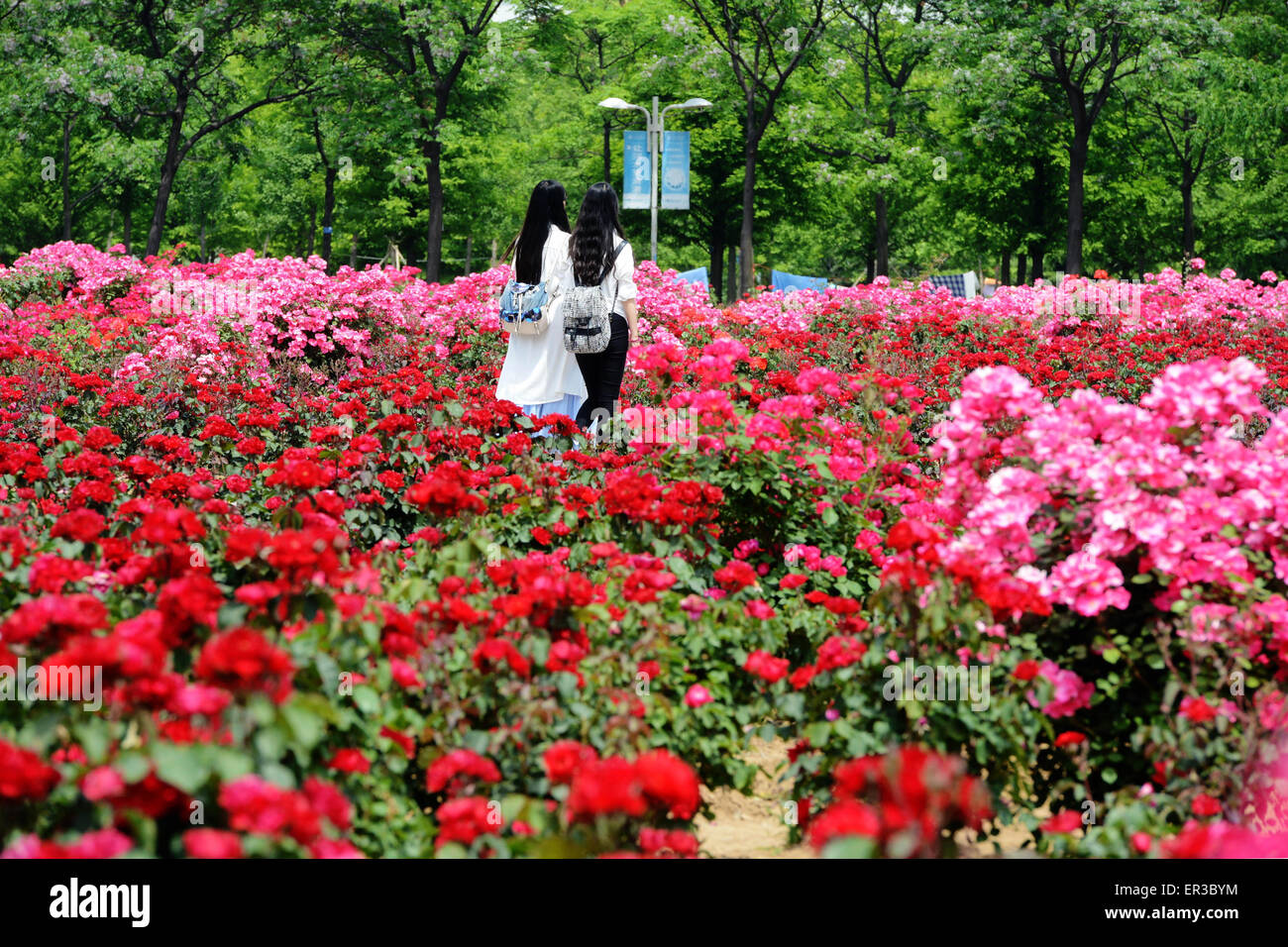Qingdao university sea hi-res stock photography and images - Alamy