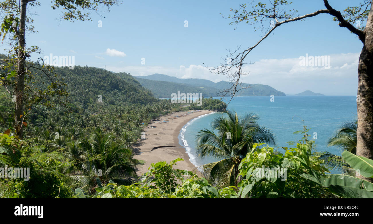 Tigaon hi-res stock photography and images - Alamy