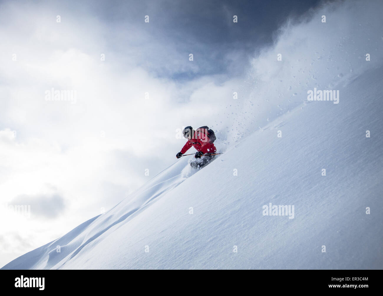 Man powder skiing, Salzburg, Austria Stock Photo - Alamy