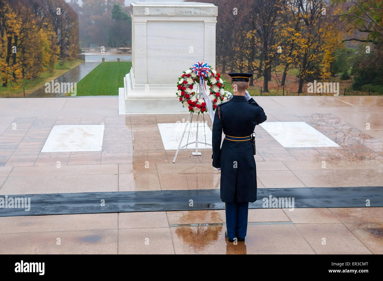 Soldier salutes - changing the guard in the afternoon at the grave of ...