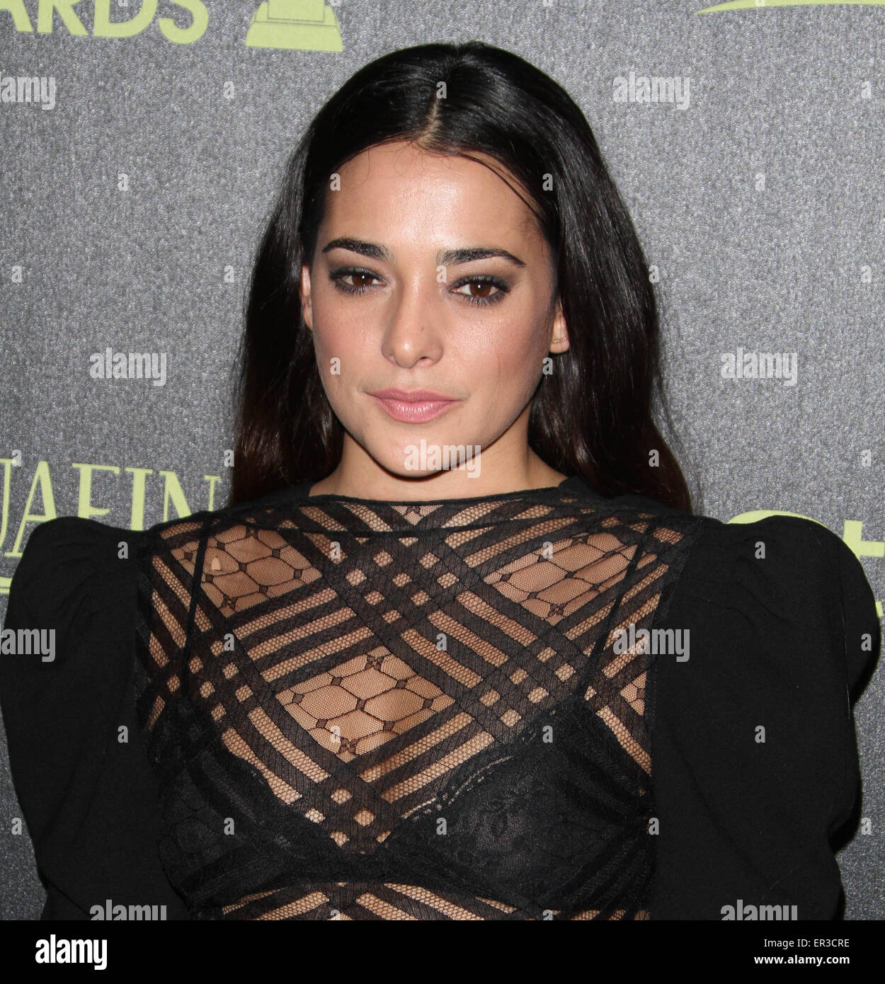 The Hollywood Foreign Press Association and InStyle Celebrate the 2015 Golden Globe Award Season ...