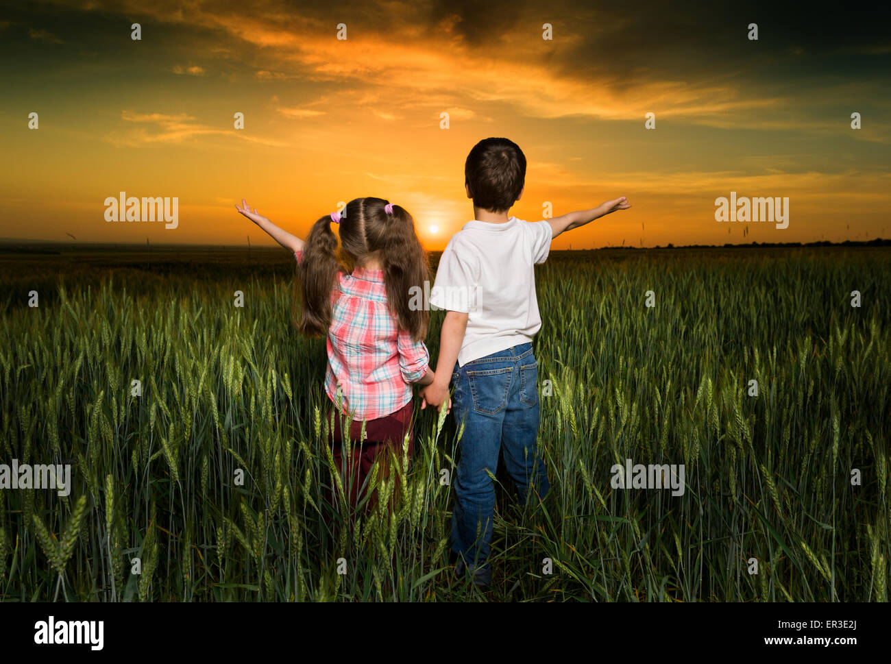 children in a field at sunset Stock Photo - Alamy
