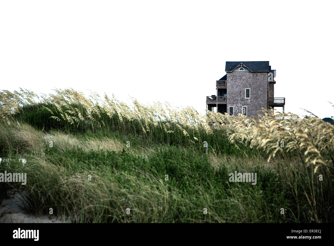 House in the field Stock Photo - Alamy