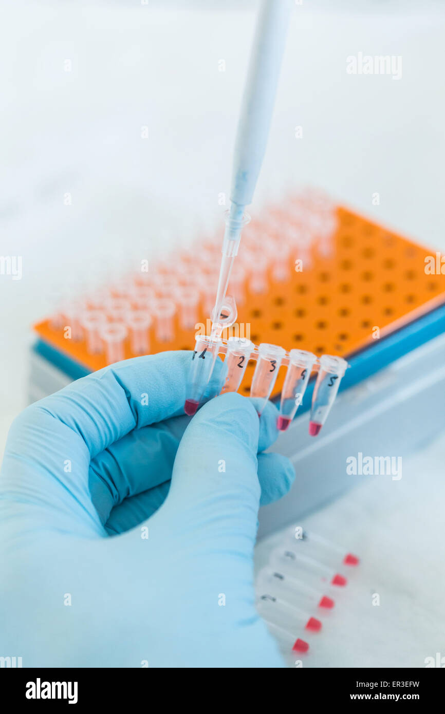 Molecular research hi-res stock photography and images - Alamy