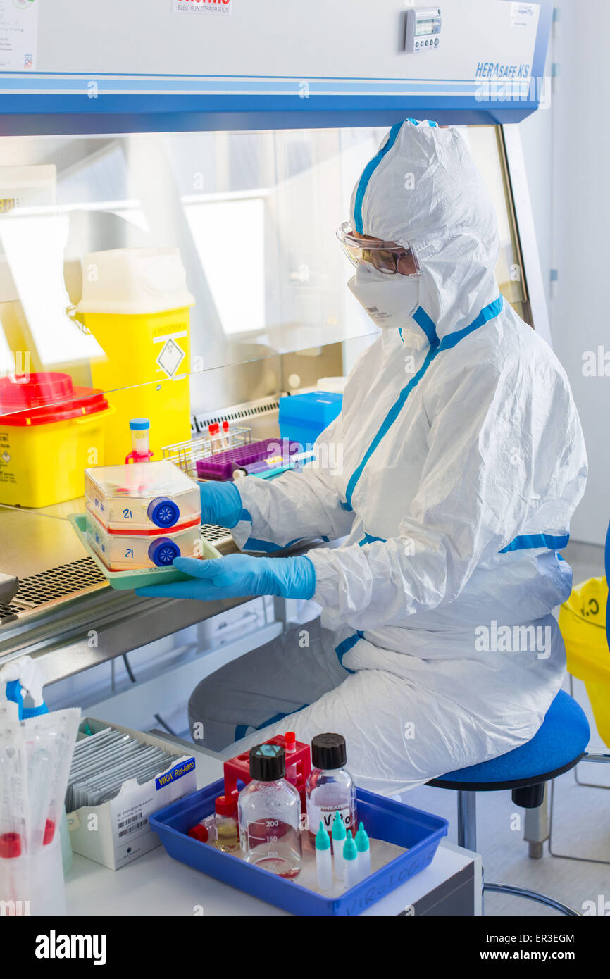 Cells culture examination, manipulations in P3 laboratory, Biology and ...