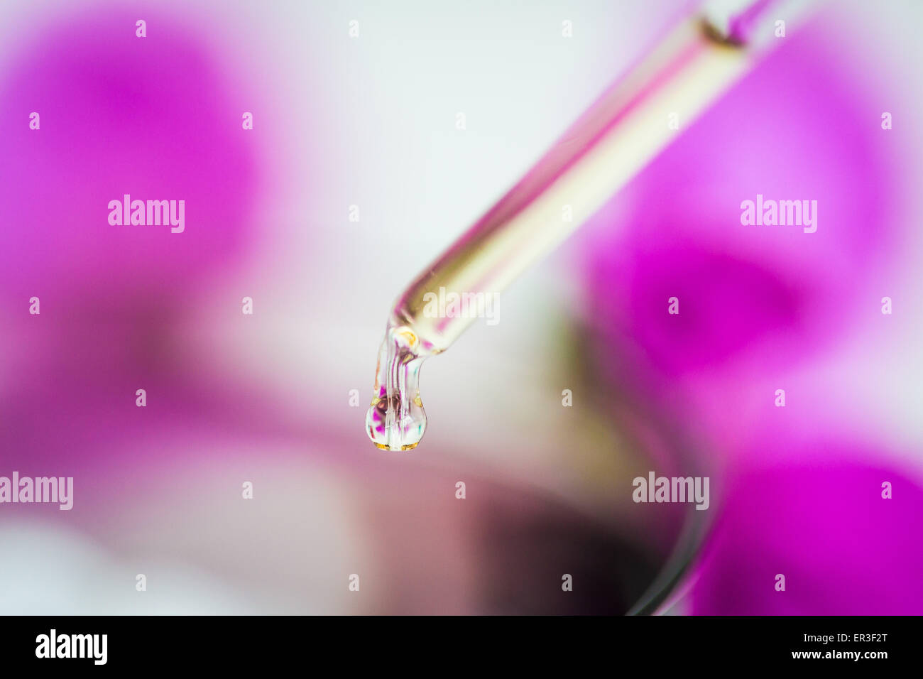 Dropper hi-res stock photography and images - Alamy