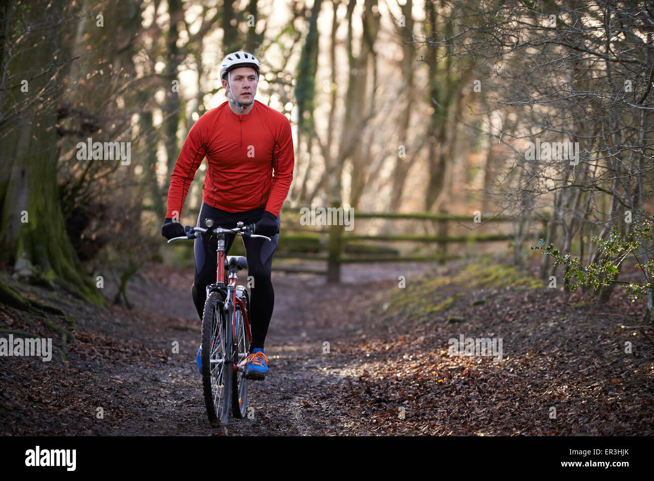Bike ride through the woods hi-res stock photography and images - Alamy