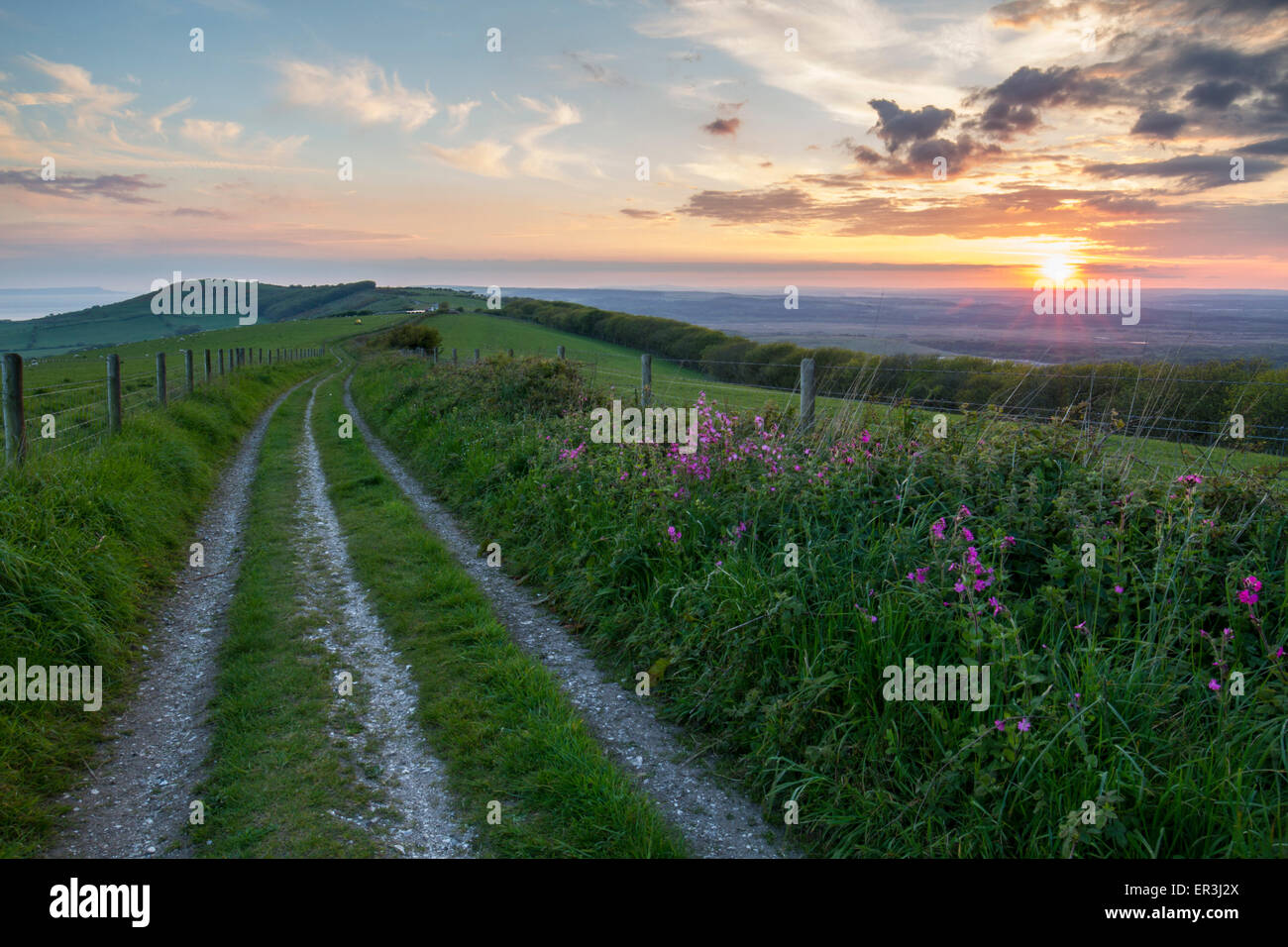 Down track hi-res stock photography and images - Alamy