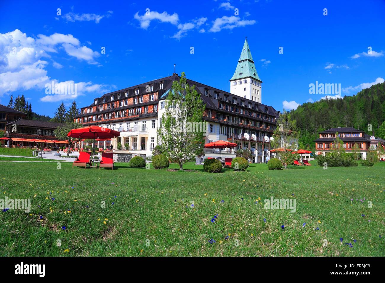 Elmau castle near Kruen with blooming gentians (lat. Gentiana clusii ...