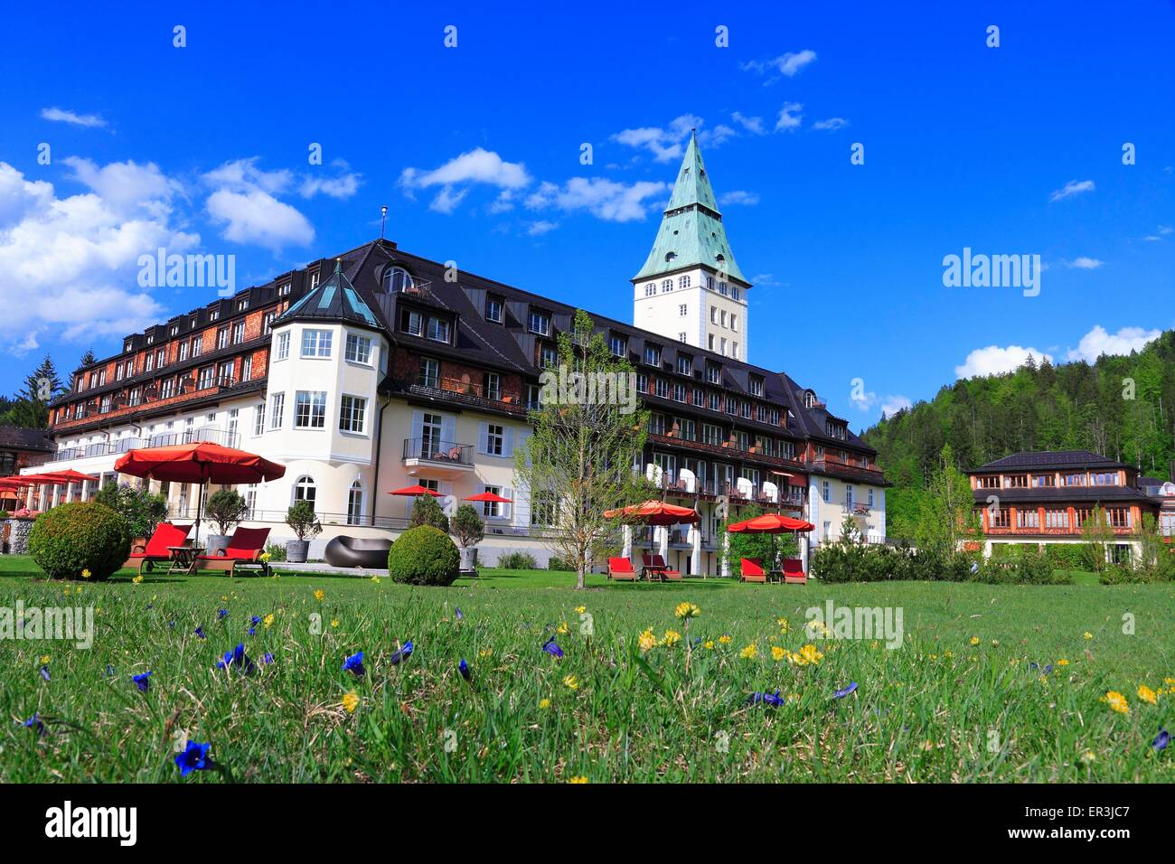 Elmau castle near Kruen with blooming gentians (lat. Gentiana clusii ...