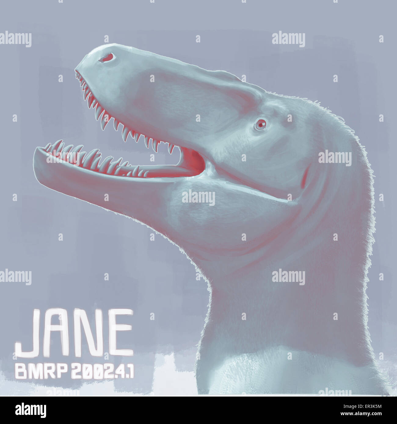 Jane (officially known as BMRP 2002.4.1) is a fossil specimen of a ...
