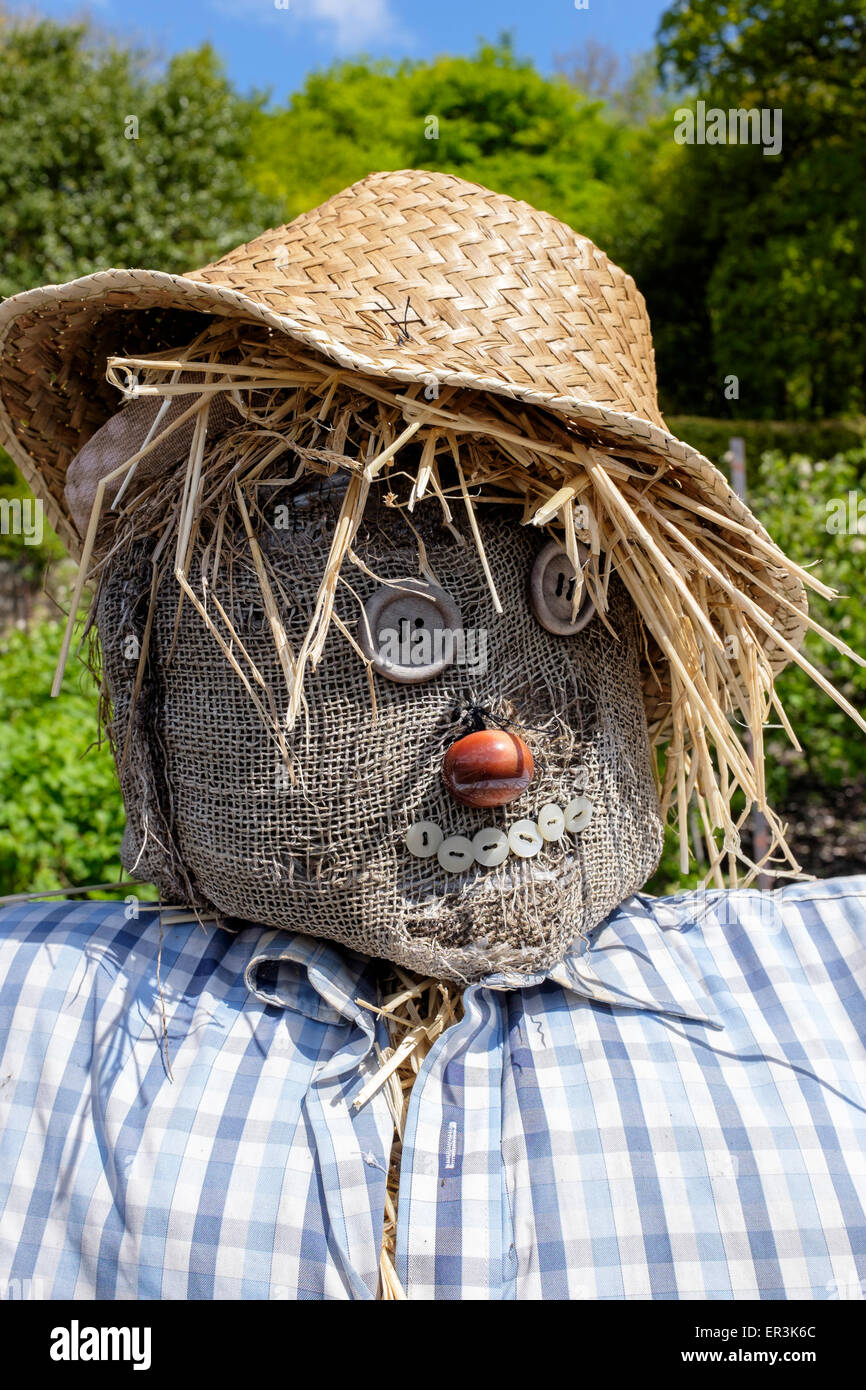 Scarecrow face hi-res stock photography and images - Alamy
