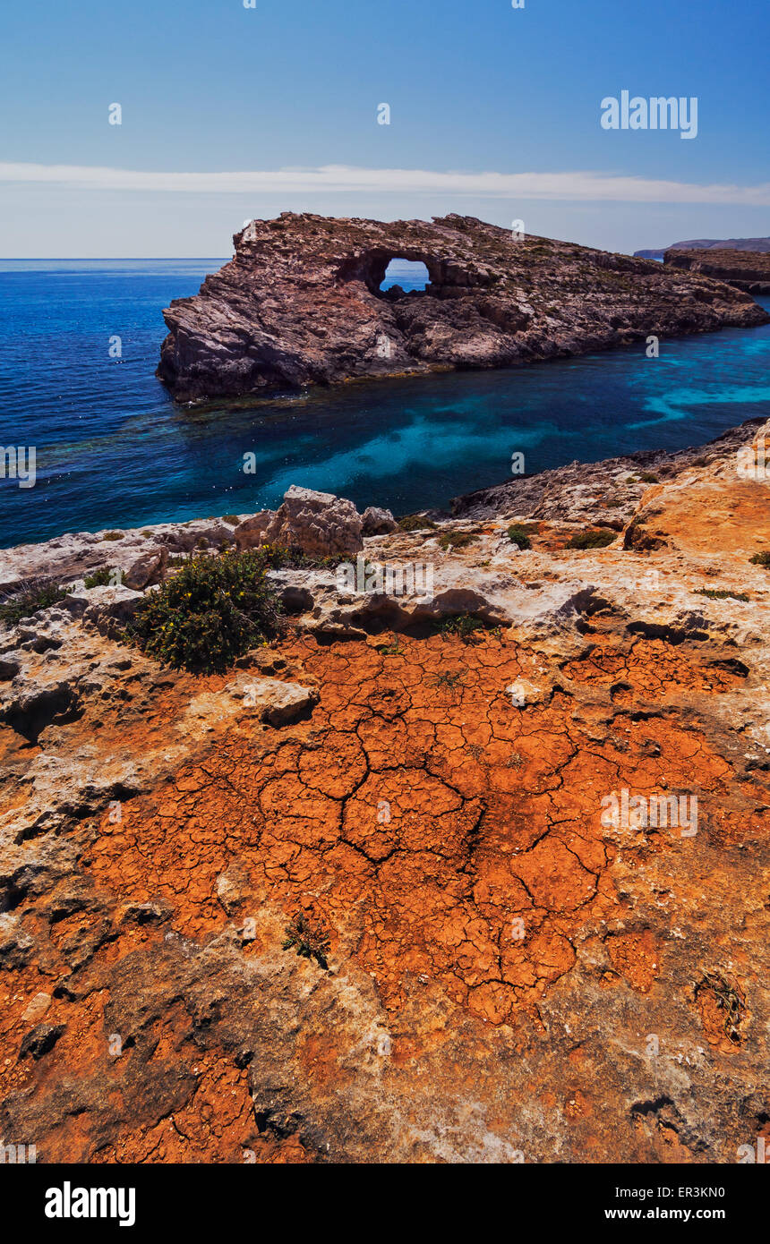 Comino island snorkelling hi-res stock photography and images - Alamy
