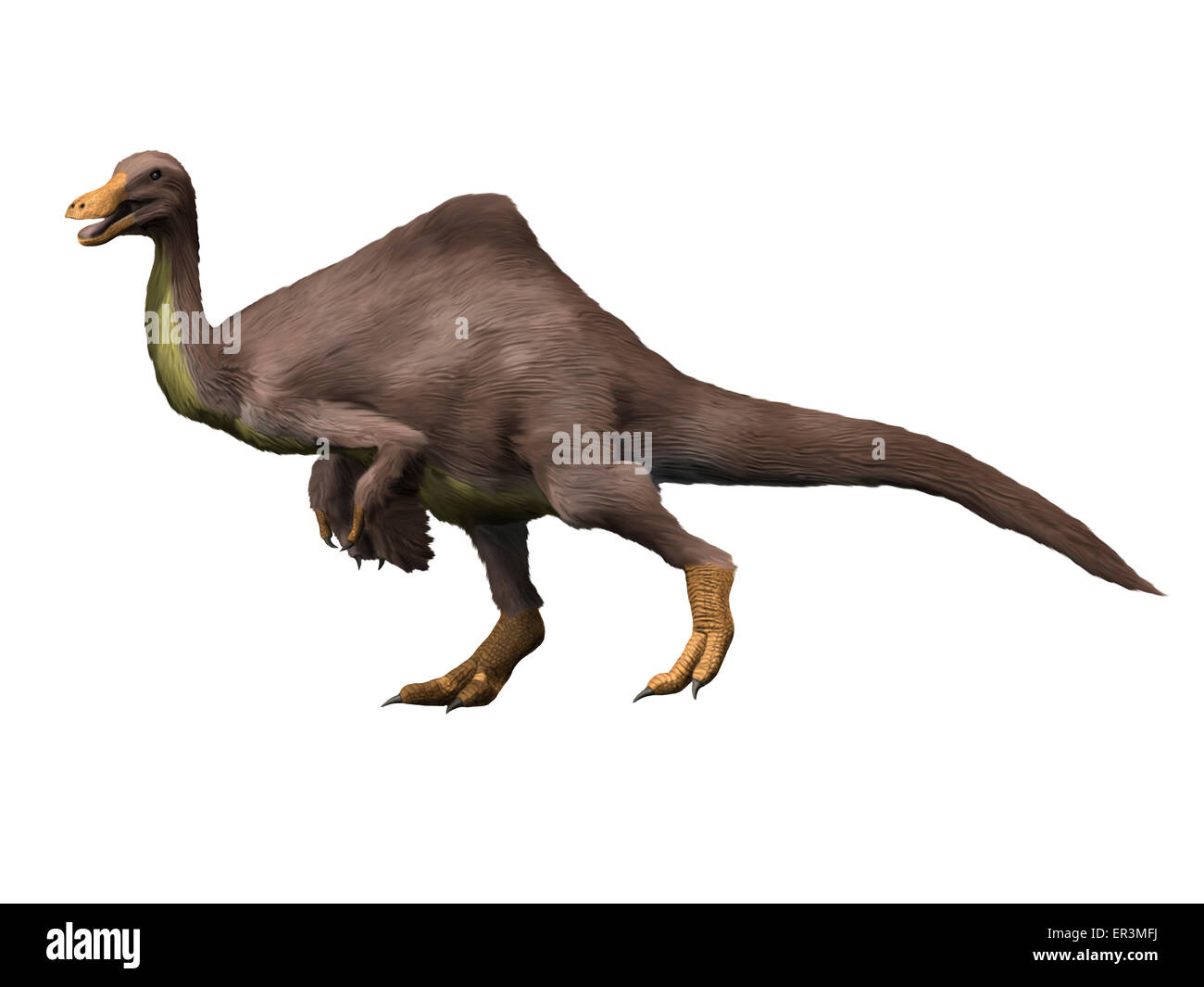 Deinocheirus is an ostrich-like dinosaur of the Late Cretaceous period ...