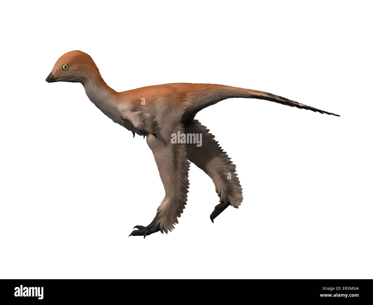 Mei long hi-res stock photography and images - Alamy