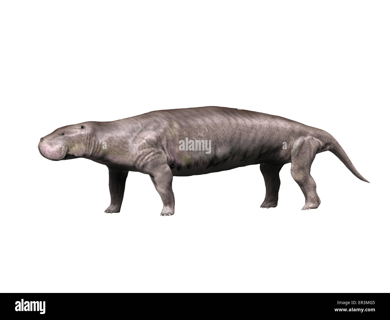 Primordial animal hi-res stock photography and images - Alamy