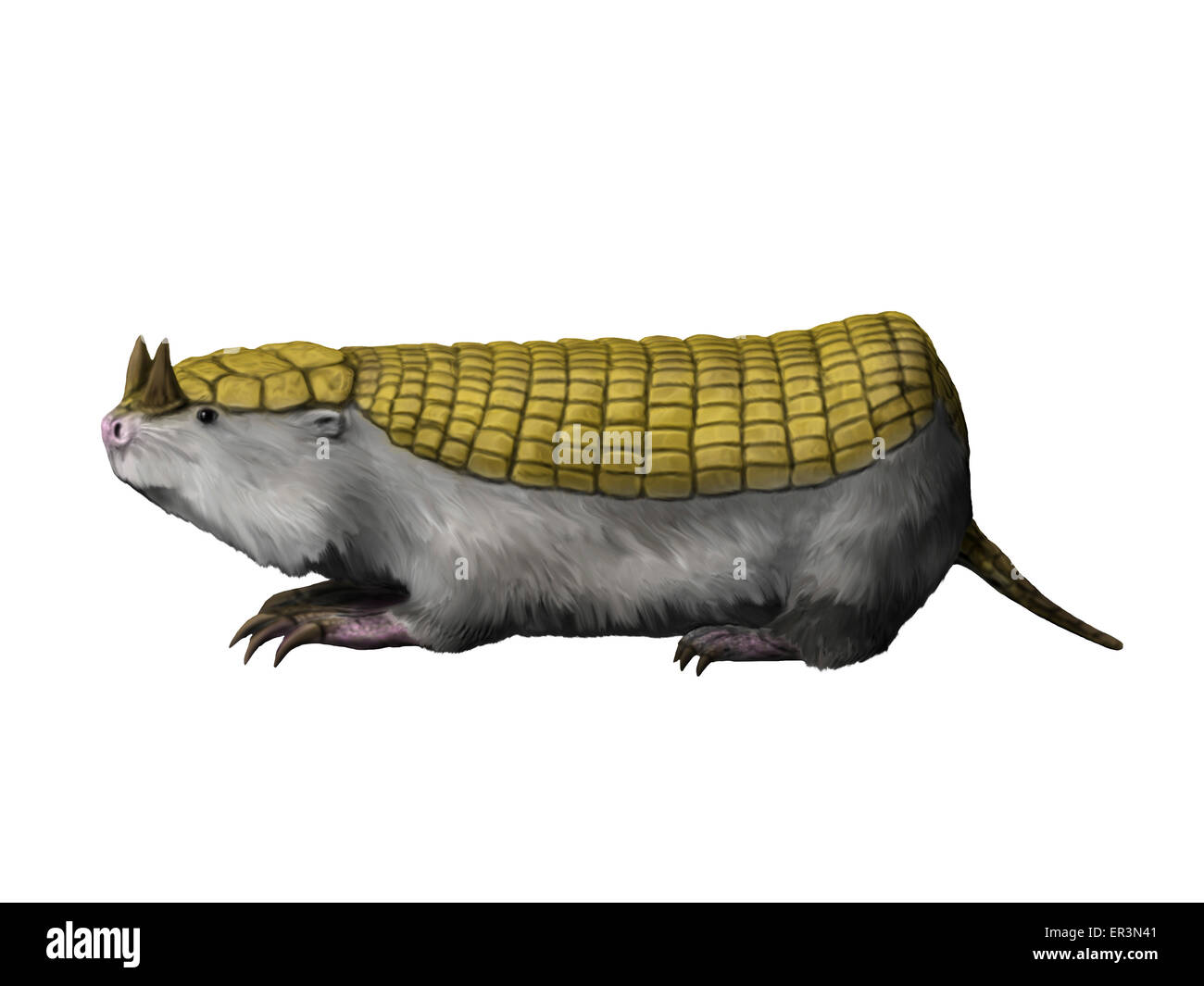 Peltephilus is a xenarthran mammal from the Miocene epoch of Argentina ...