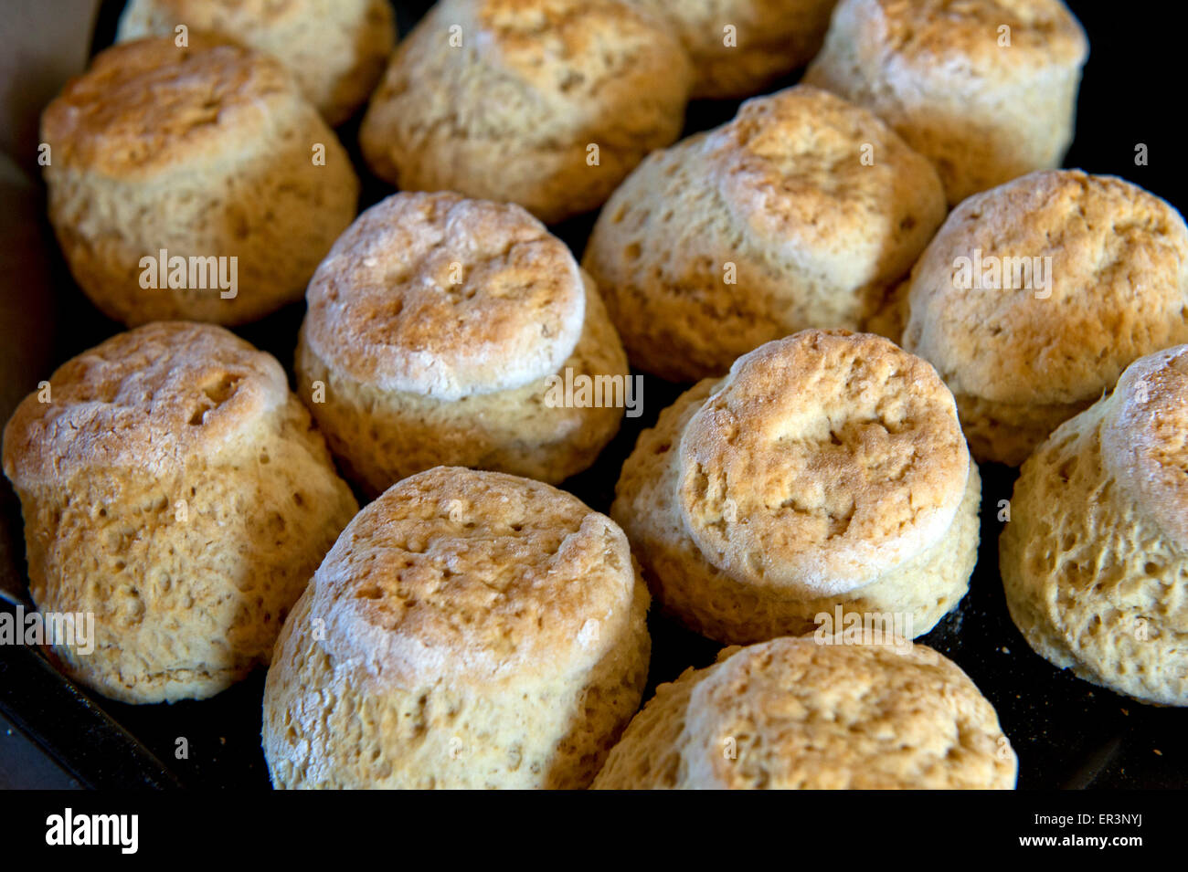 Traditional Cornish cream tea with scones,Cornish clotted cream,jam and ...