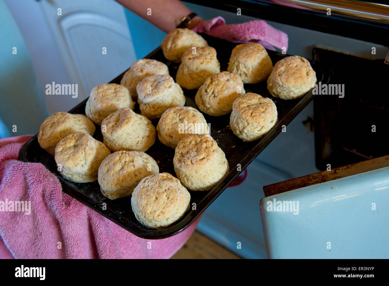 Traditional Cornish cream tea with scones,Cornish clotted cream,jam and ...