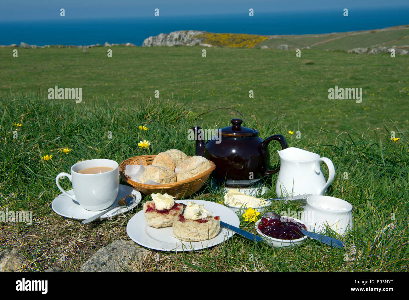 Traditional Cornish cream tea with scones,Cornish clotted cream,jam and ...
