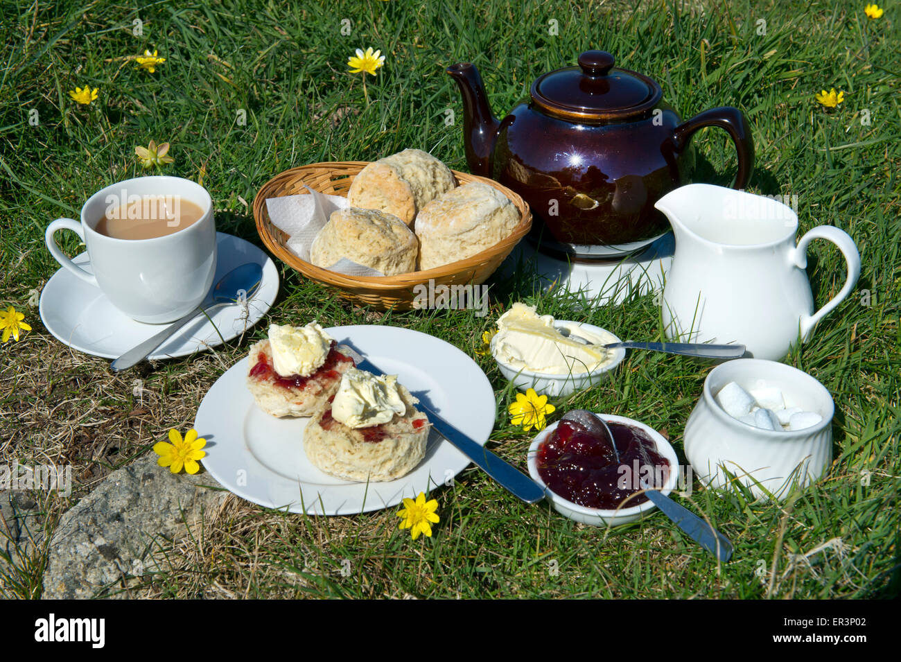 Traditional Cornish cream tea with scones,Cornish clotted cream,jam and ...