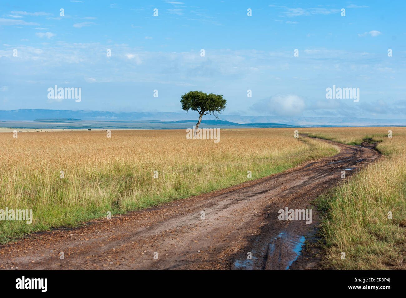 Through africa hi-res stock photography and images - Alamy