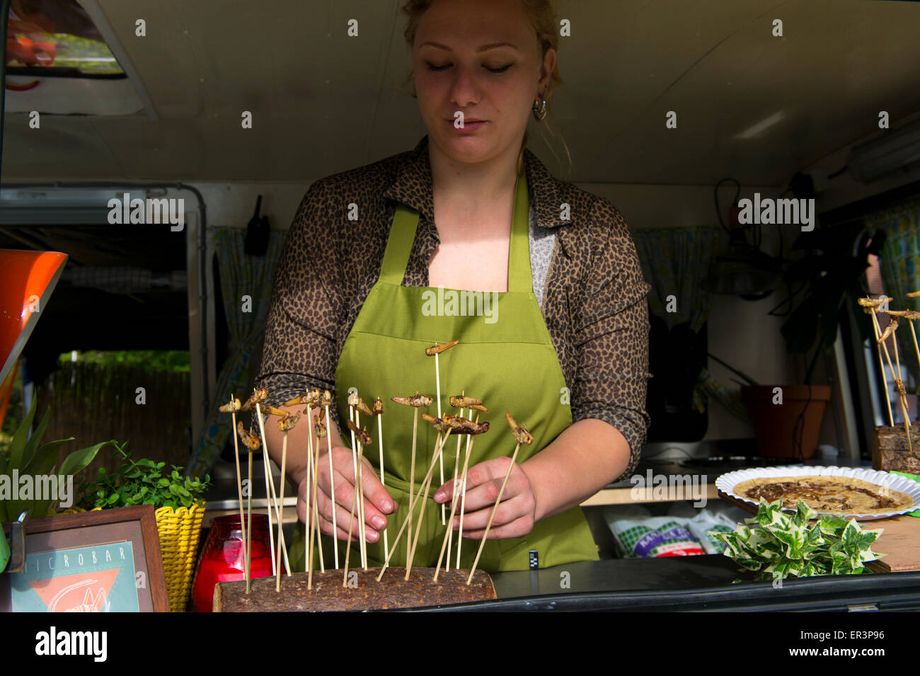 Insects Netherlands Edible High Resolution Stock Photography and Images ...