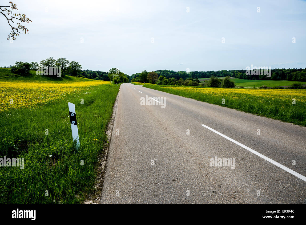 Route in the middle of the meadow Stock Photo - Alamy