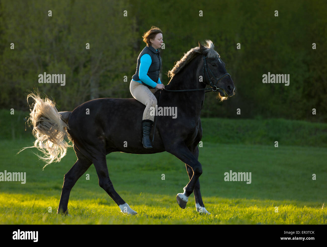 Woman girl riding bareback hi-res stock photography and images - Alamy