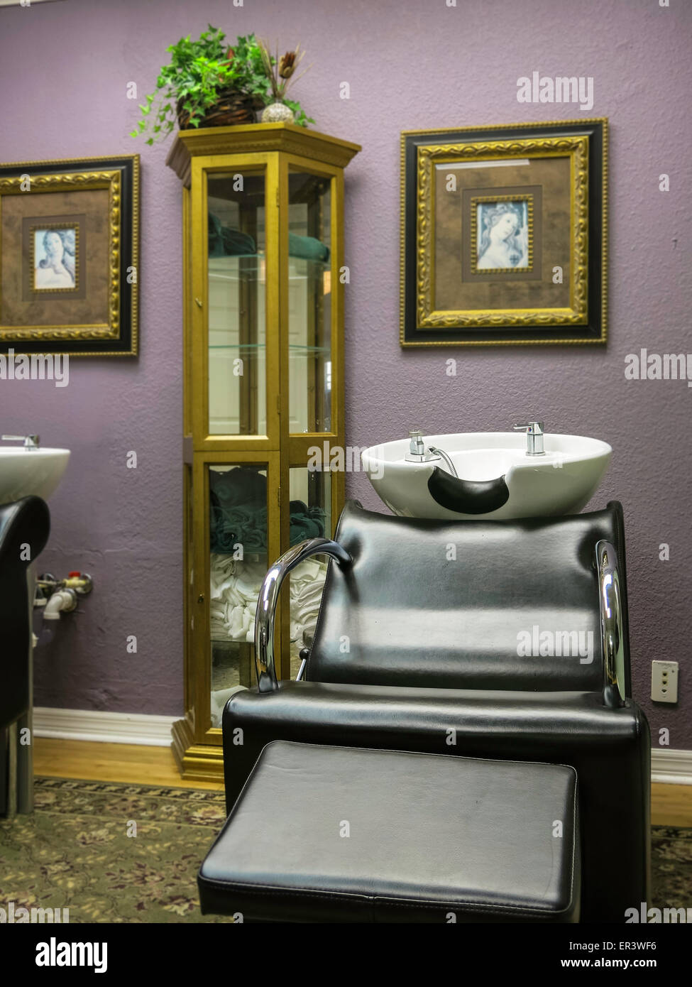 Luxury Hair Salon Shampoo Room, Florida Stock Photo - Alamy