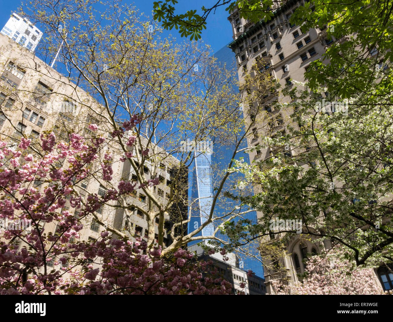 Springtime View Upwards from Trinity Church Cemetery, NYC Stock Photo ...