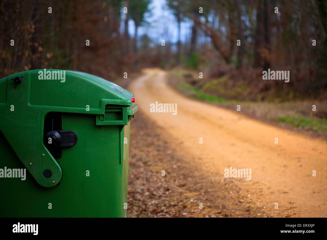 Plastic trash and path of the forest Stock Photo - Alamy