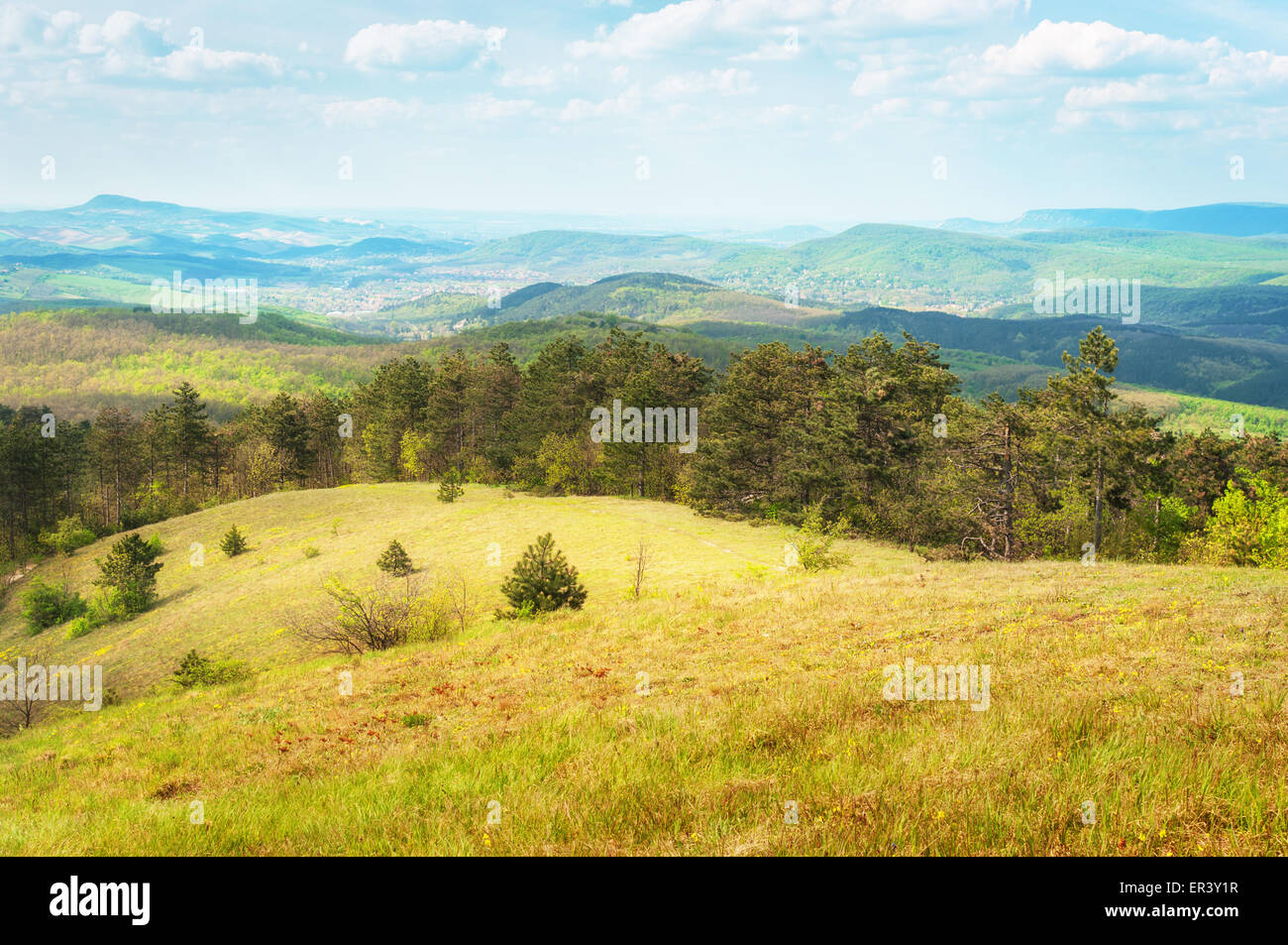 Panoramic landscape hills pine hi-res stock photography and images - Alamy