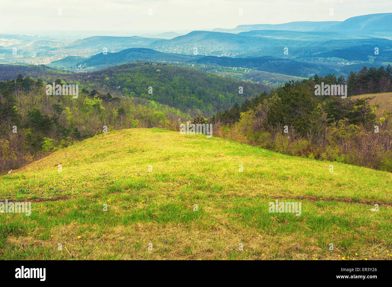 Scenery of rolling hills landscape Stock Photo - Alamy
