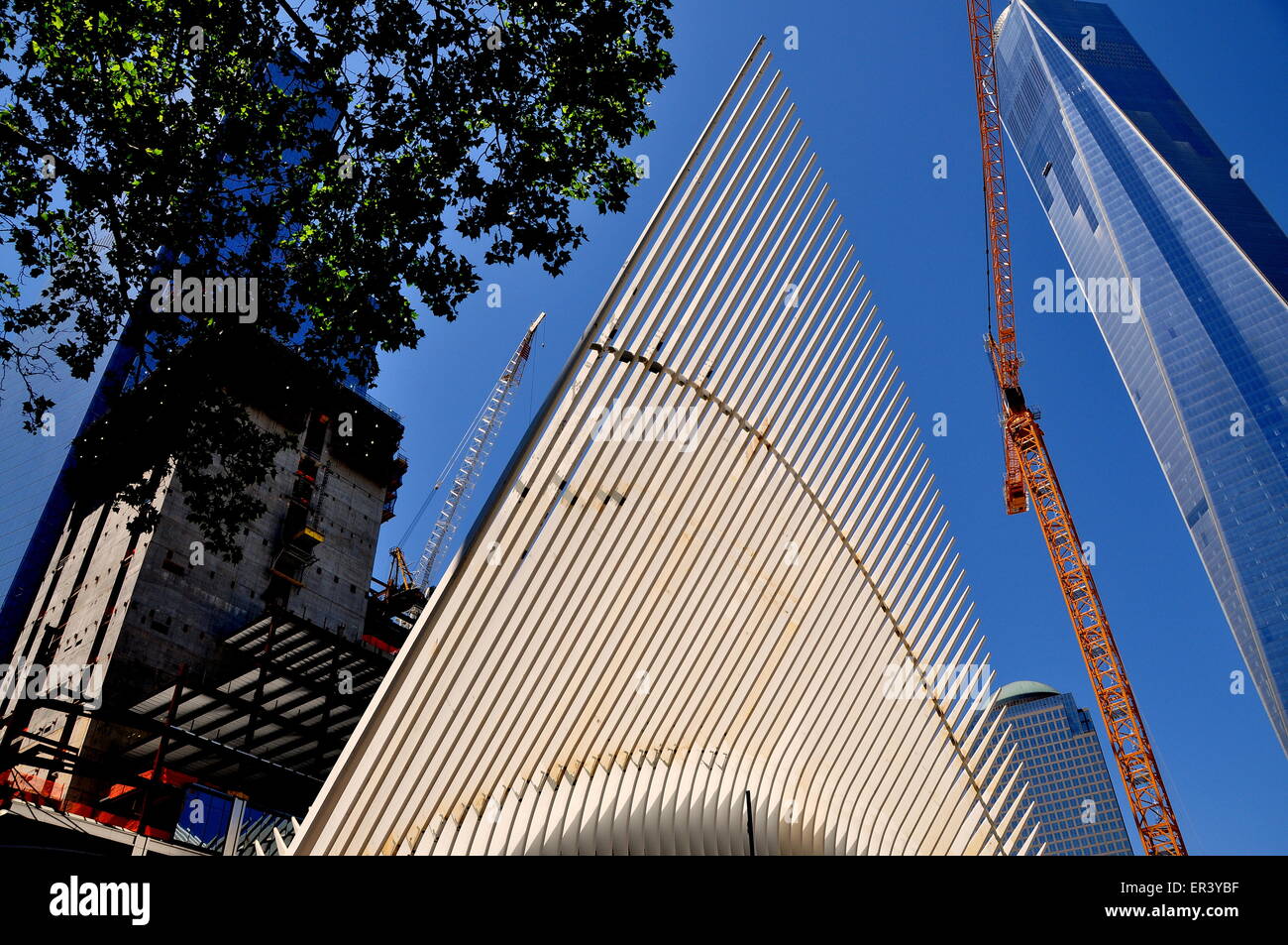 New York City: The rising PATH Transportation Center building designed ...