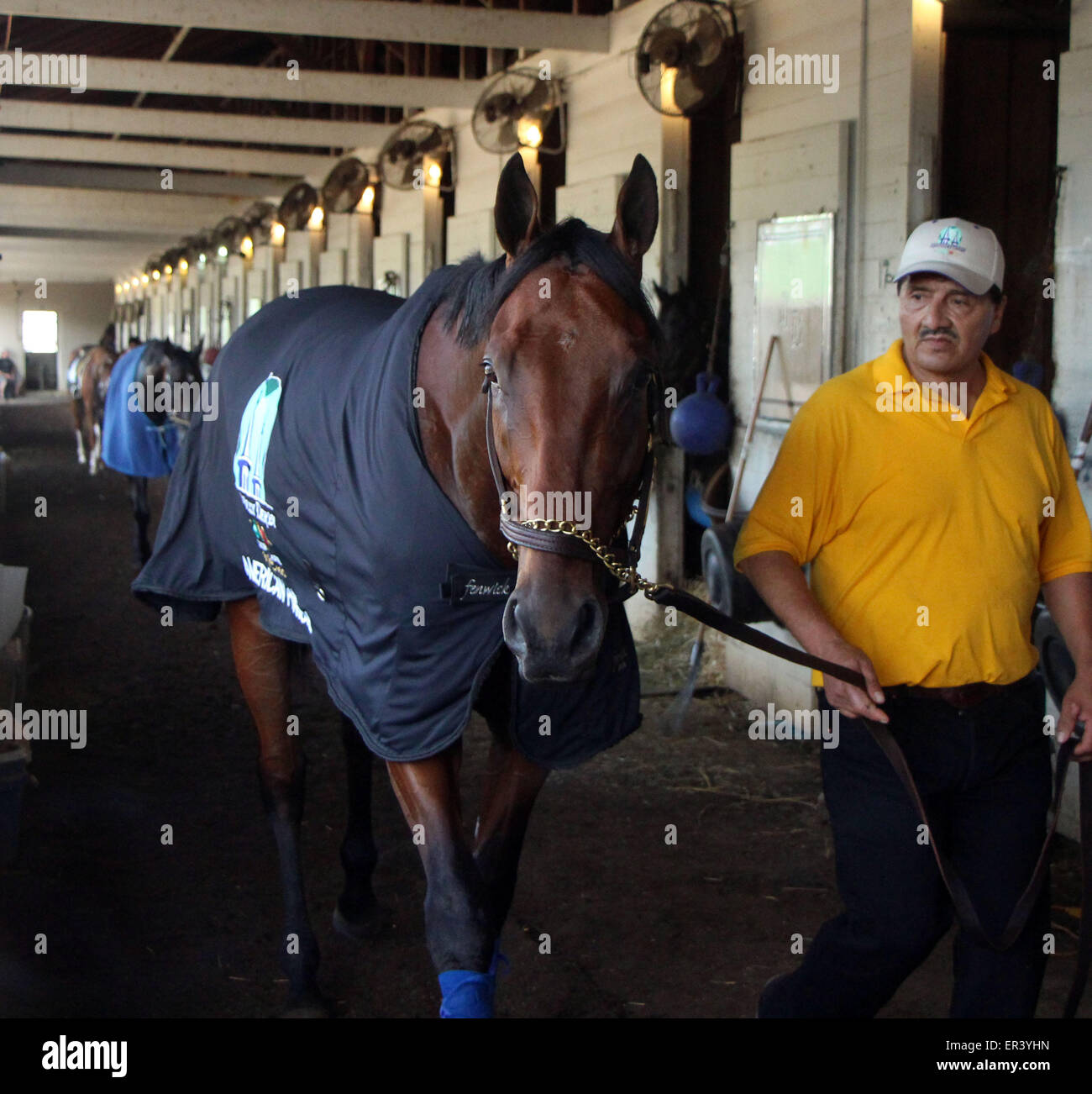 Louisville, KY, USA. 26th May, 2015. May 26, 2015 American Pharoah in ...