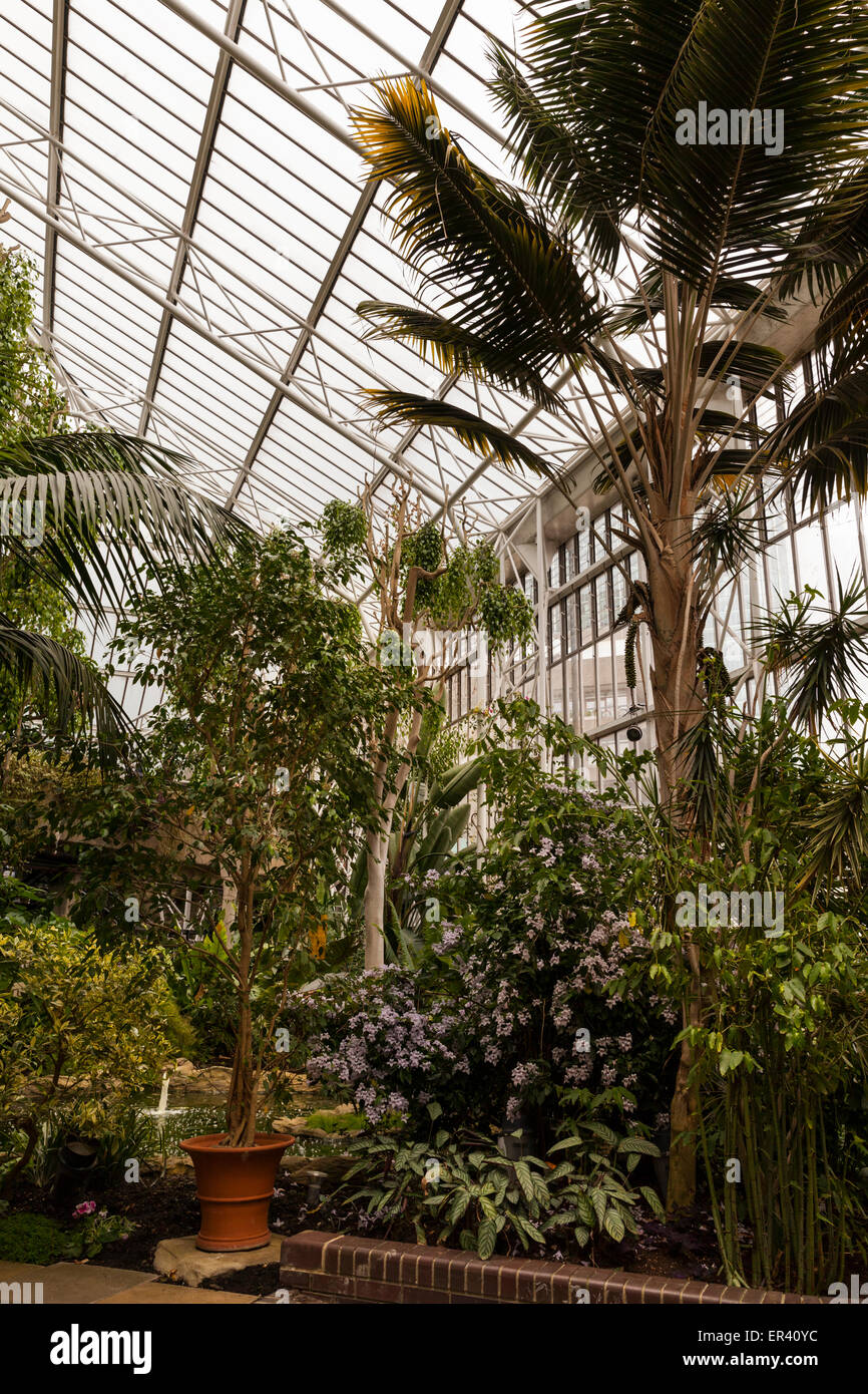 The Barbican Conservatory, glass-roofed tropical gardens and venue ...