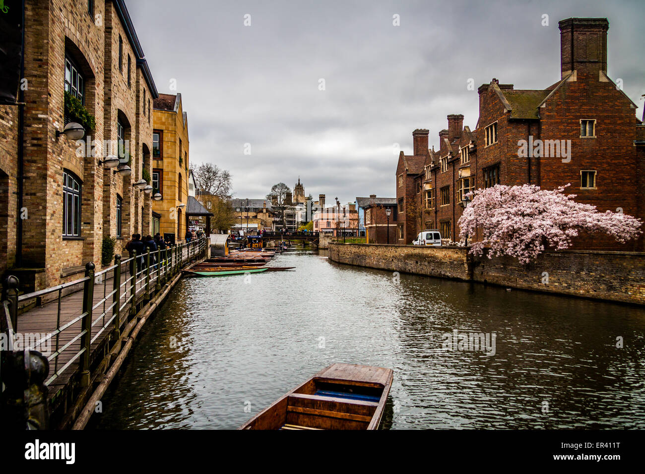 Boats at Cam River, in Cambridge Stock Photo - Alamy