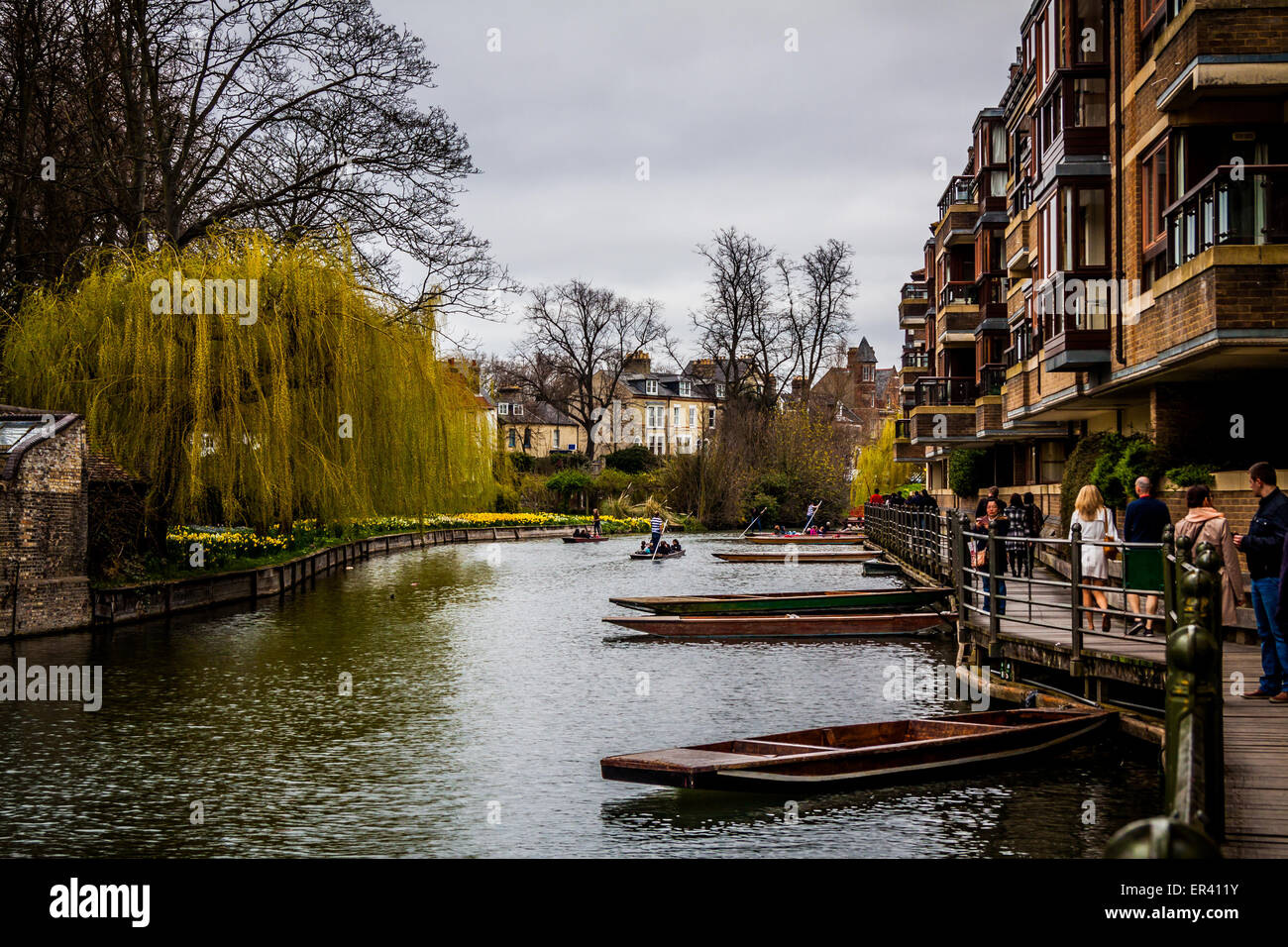 Boats at Cam River, in Cambridge Stock Photo - Alamy