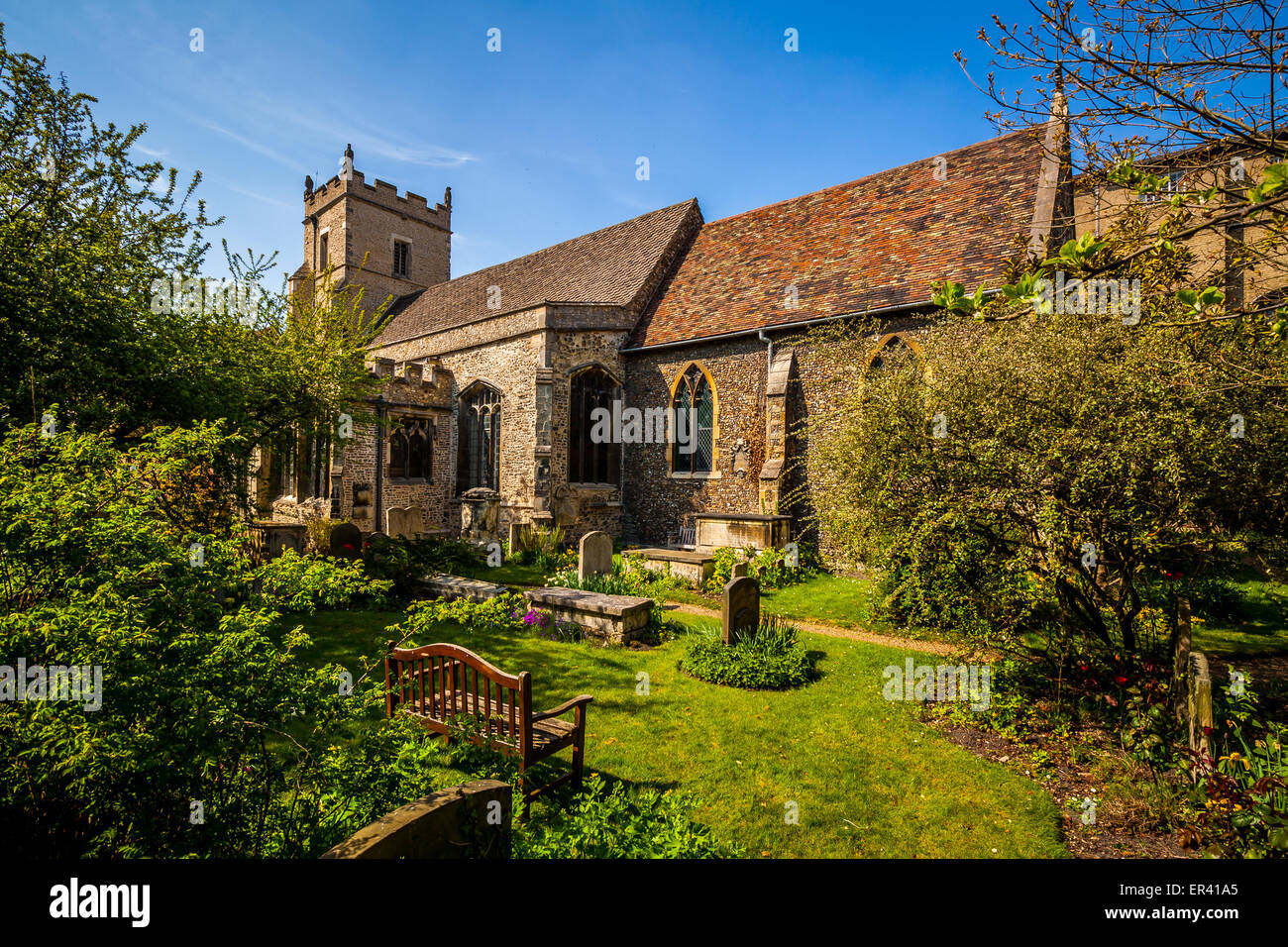 St. Botolph's Parish Church, at Cambridge Stock Photo - Alamy