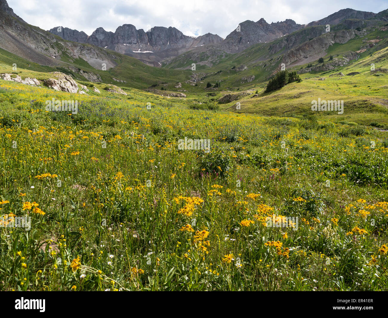 American basin hi-res stock photography and images - Alamy