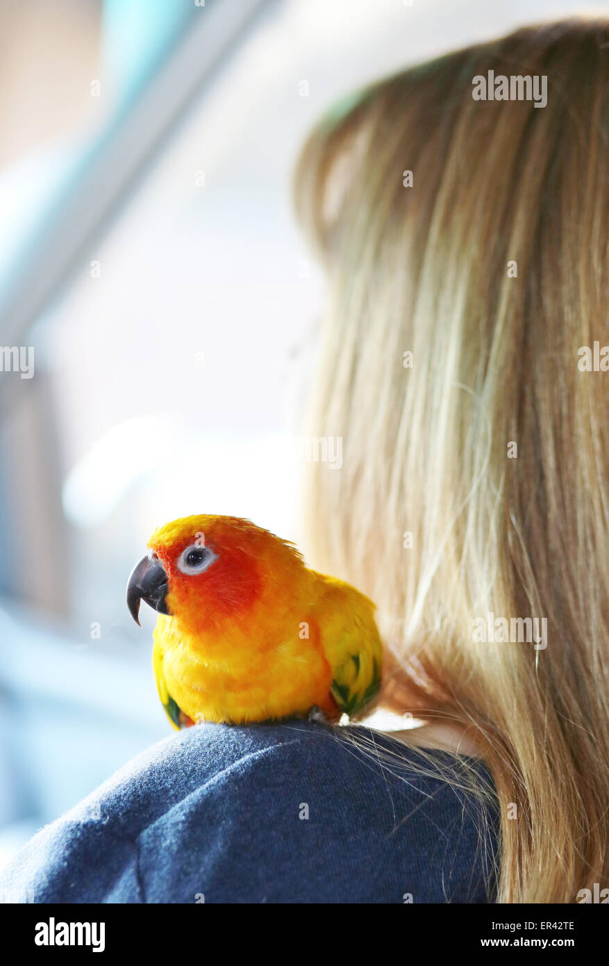 Woman with bird on shoulder hi-res stock photography and images - Alamy