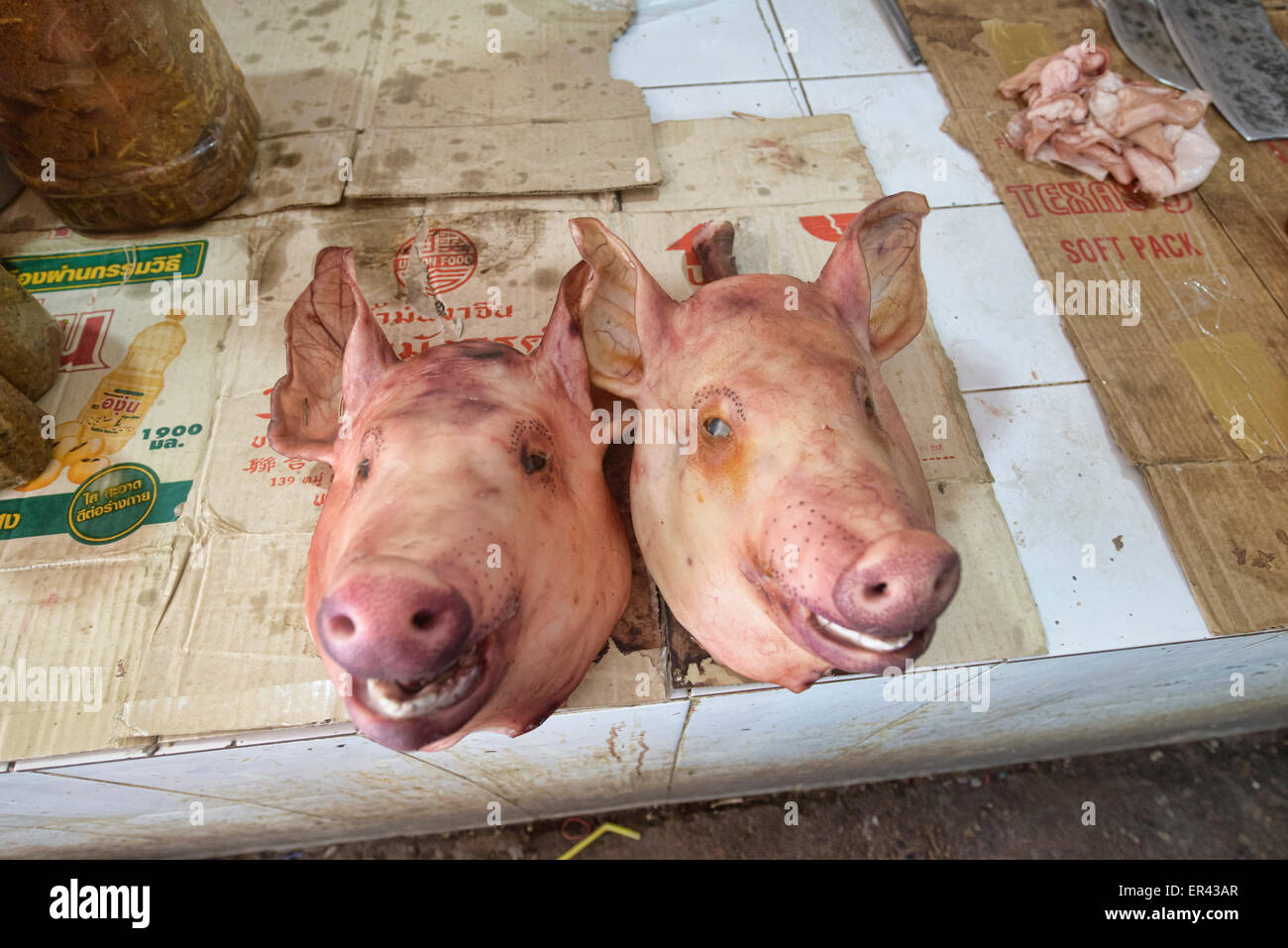 Pigs heads hi-res stock photography and images - Alamy